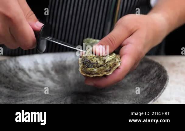 Cut open shell Stock Videos & Footage - HD and 4K Video Clips - Alamy