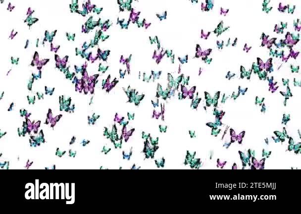 Many colorful butterflies flying in air on white background. Nature ...