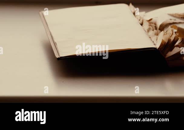 Unreadable books Stock Videos & Footage - HD and 4K Video Clips - Alamy