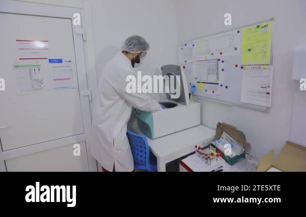 Medical laboratory work. The laboratory assistant puts the test tubes ...