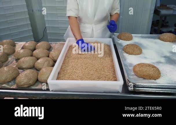 Women roll fresh loaves of bread in breading crumbs before baking ...