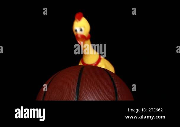 footage of basketball rubber chicken dark background Stock Video ...