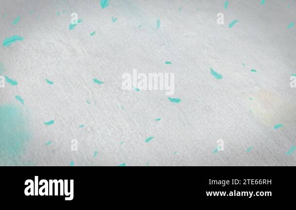 Feathers falling bird Stock Videos & Footage - HD and 4K Video Clips ...