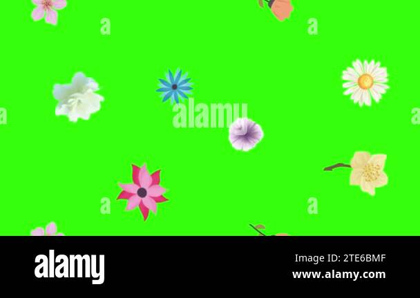 Group of spring flowers animation elements on green screen chroma key ...