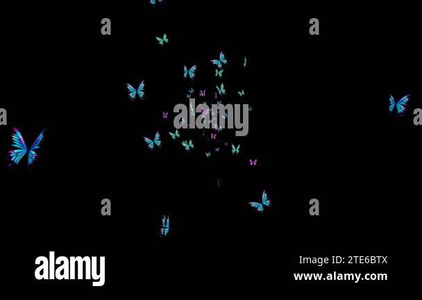 Many colorful butterflies flying in air on black background. Nature concept. Butterfly flapping ...