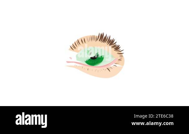 Human eye icon cartoon Stock Videos & Footage - HD and 4K Video Clips ...