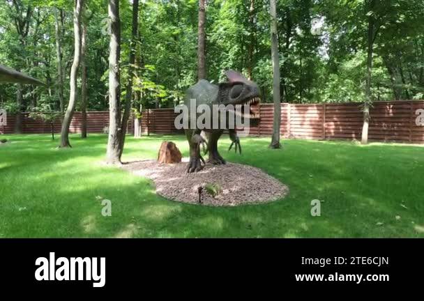 Prehistoric zoo display Stock Videos & Footage - HD and 4K Video Clips ...
