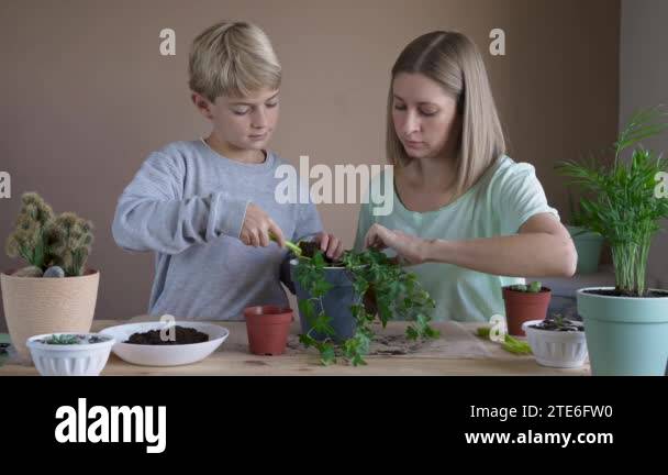 Boy planting a flower in a pot with mother together. Child studing ...