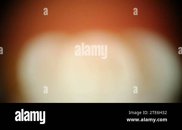 Amorphic Realistic and organic camera Light Leaks and Transitions for ...