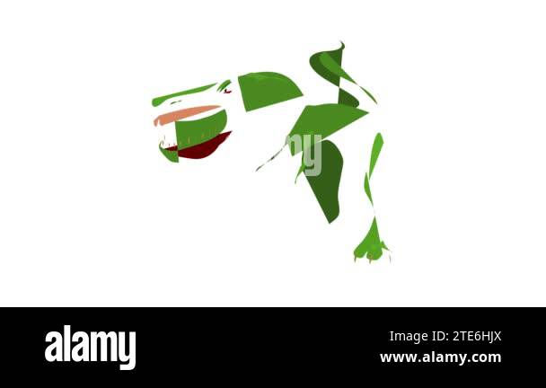 Extinct hawk Stock Videos & Footage - HD and 4K Video Clips - Alamy