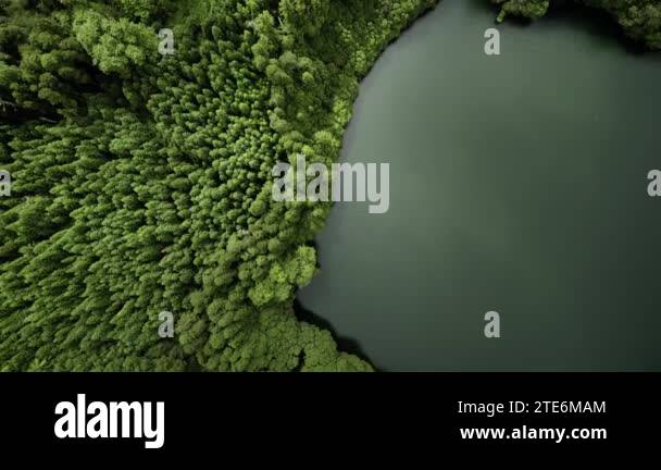 Lagoon congro Stock Videos & Footage - HD and 4K Video Clips - Alamy