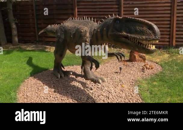 Extinct animals in museum Stock Videos & Footage - HD and 4K Video ...