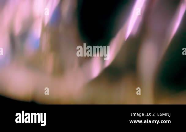 Amorphic Realistic and organic camera Light Leaks and Transitions for ...