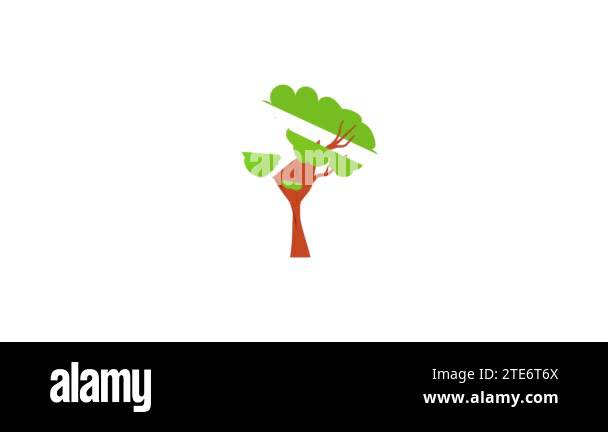 Rounded crown tree Stock Videos & Footage - HD and 4K Video Clips - Alamy