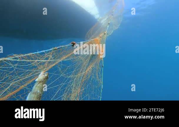 4K.Caught fish in the net hanging from the boat under the sea ...