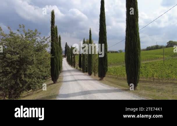 Tour poplar Stock Videos & Footage - HD and 4K Video Clips - Alamy