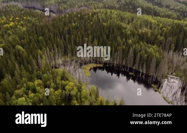 Beautiful nature of Karelia republic. Aerial view from drone to the ...