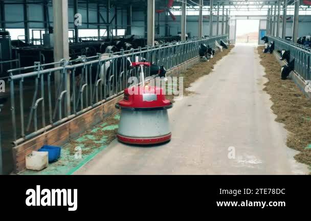 Animal farm with a robotic feed pusher helping cows to eat Stock Video ... Animal farm with a robotic feed pusher helping cows to eat Stock Video ...