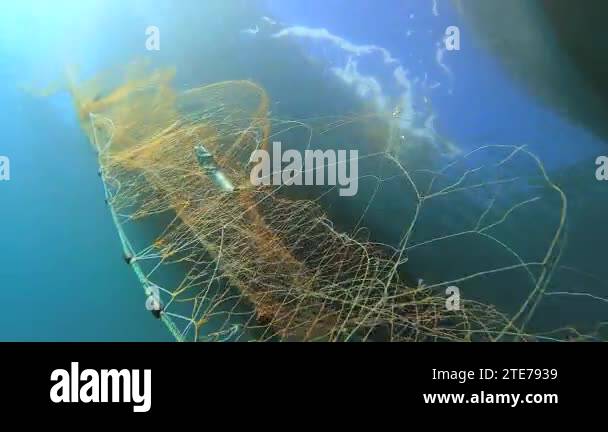 4K.Caught fish in the net hanging from the boat under the sea ...