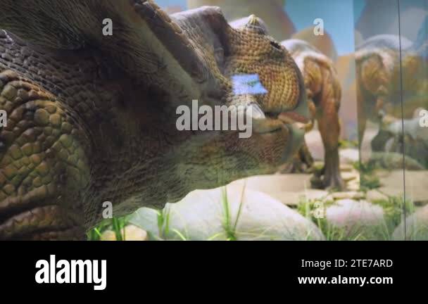 dinosaur models move and wave their heads. natural models of ancient ...