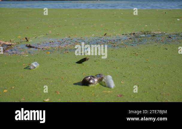 Surface water pollution Stock Videos & Footage - HD and 4K Video Clips ...