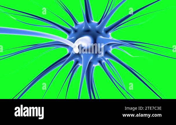 Brain impulses. Neuron system. Human anatomy. transferring pulses and ...