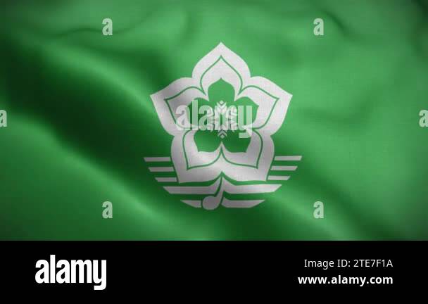 Harbin China Flag Loop Background 4K Stock Video Footage - Alamy