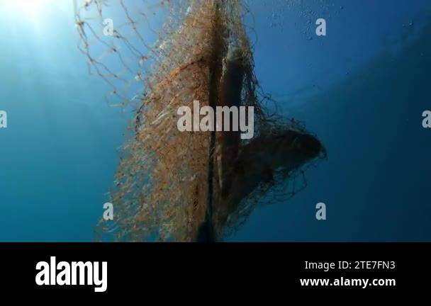 4K.Caught fish in the net hanging from the boat under the sea ...