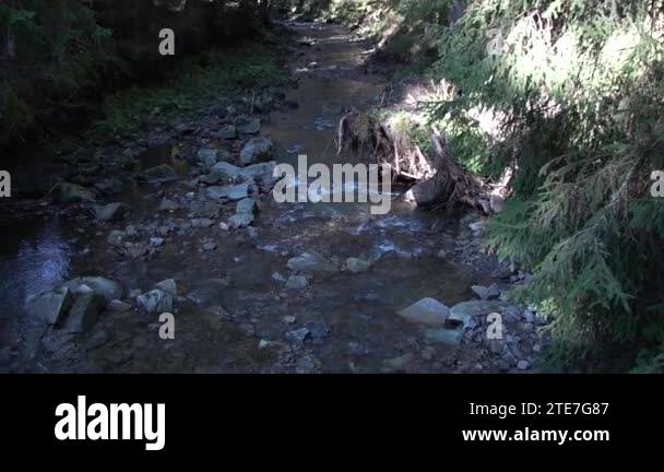 Rocks and branches Stock Videos & Footage - HD and 4K Video Clips - Alamy