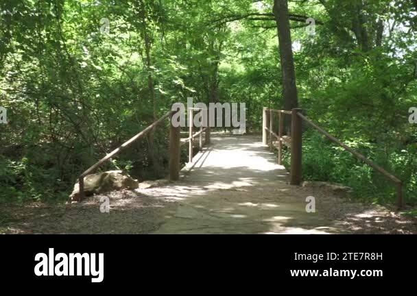 Buffalo spring water source Stock Videos & Footage - HD and 4K Video ...