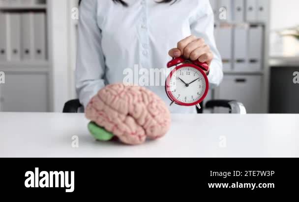 Brain layout Stock Videos & Footage - HD and 4K Video Clips - Alamy