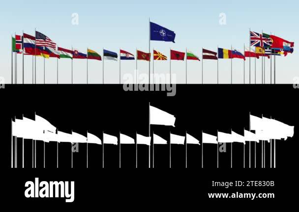 the flags of the member countries of the Nato Alliance against the sky ...