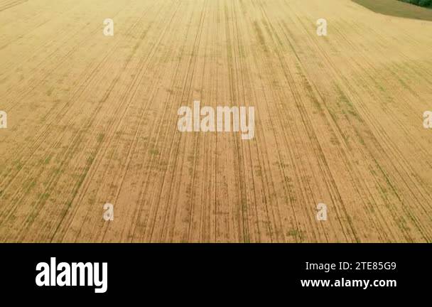 Fly over the field after harvest. Incredible landscapes and textures ...