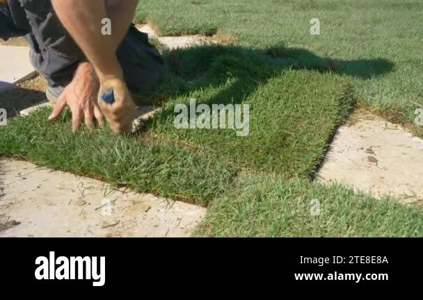 Grassy squares Stock Videos & Footage - HD and 4K Video Clips - Alamy