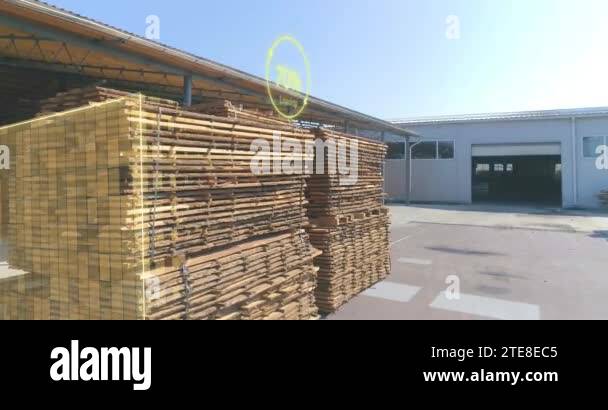 Drying wood outdoors under the sun with infographics. Visualization of ...