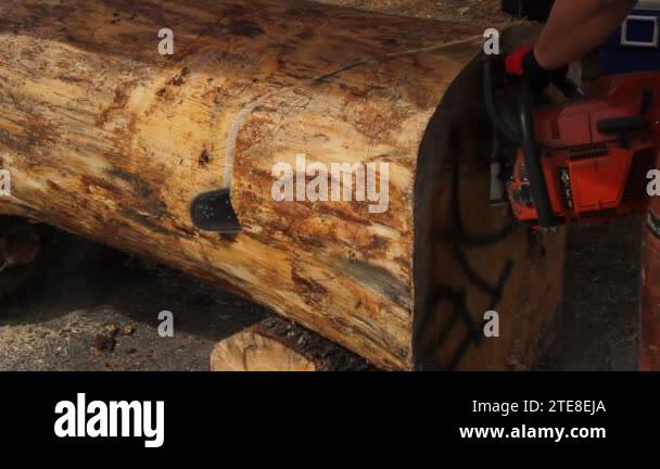 Log carving Stock Videos & Footage - HD and 4K Video Clips - Alamy