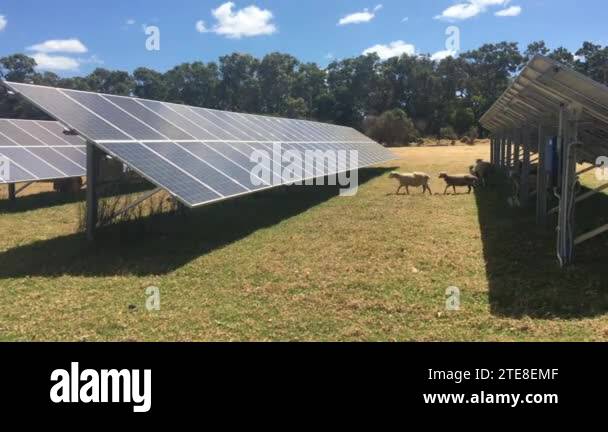 Australian solar farm Stock Videos & Footage - HD and 4K Video Clips ...