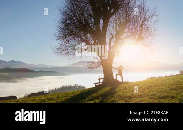 Man standing next tree Stock Videos & Footage - HD and 4K Video Clips ...
