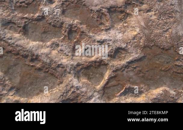 Sand coating Stock Videos & Footage - HD and 4K Video Clips - Alamy