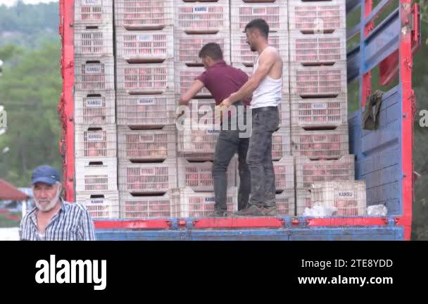 Workers loading truck Stock Videos & Footage - HD and 4K Video Clips ...