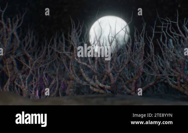Spooky forest moon Stock Videos & Footage - HD and 4K Video Clips - Alamy
