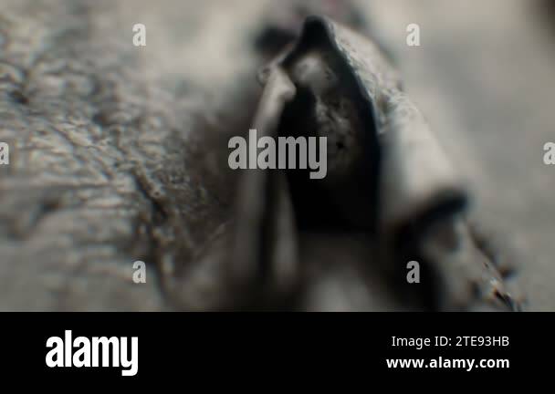 Creepy statue Stock Videos & Footage - HD and 4K Video Clips - Alamy