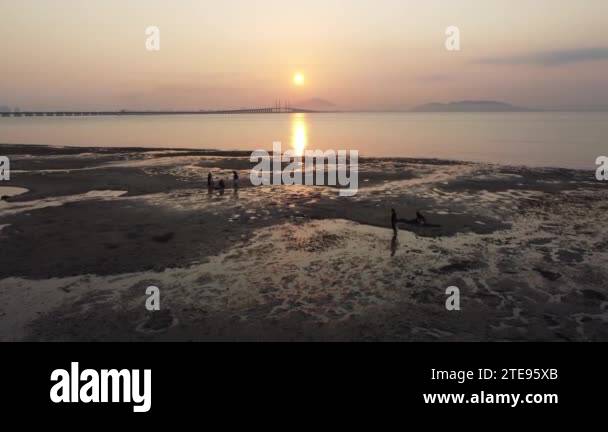 Clam shell silhouette Stock Videos & Footage - HD and 4K Video Clips ...