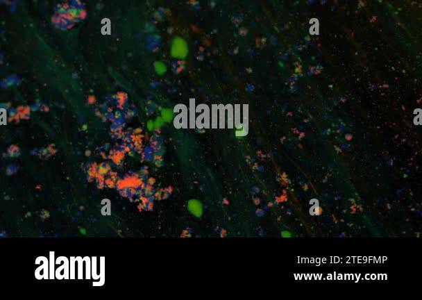 Marble coloring particles move and change on a black moving background ...