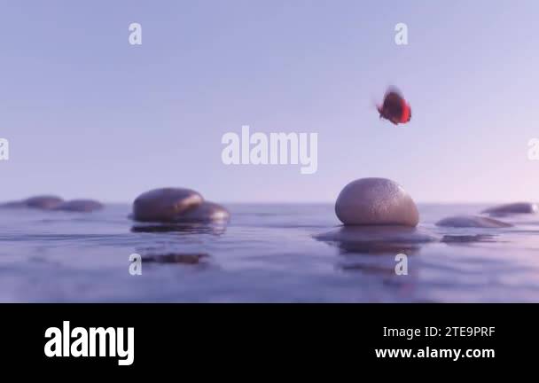 Butterfly effect theory Stock Videos & Footage - HD and 4K Video Clips ...