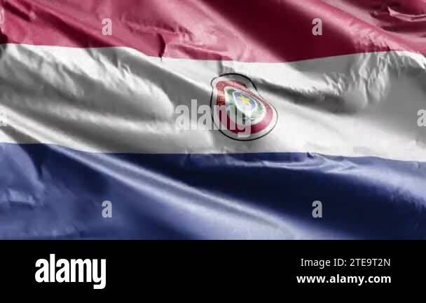 Paraguay textile flag waving on the wind loop. Paraguayan banner ...