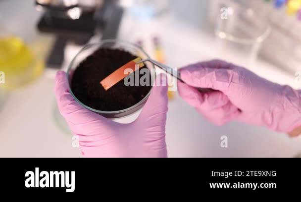 Nitrogen test soil Stock Videos & Footage - HD and 4K Video Clips - Alamy