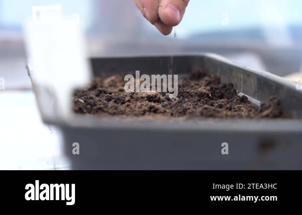Proper development Stock Videos & Footage - HD and 4K Video Clips - Alamy