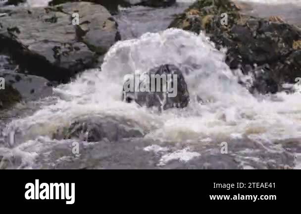 Burn in scotland Stock Videos & Footage - HD and 4K Video Clips - Alamy