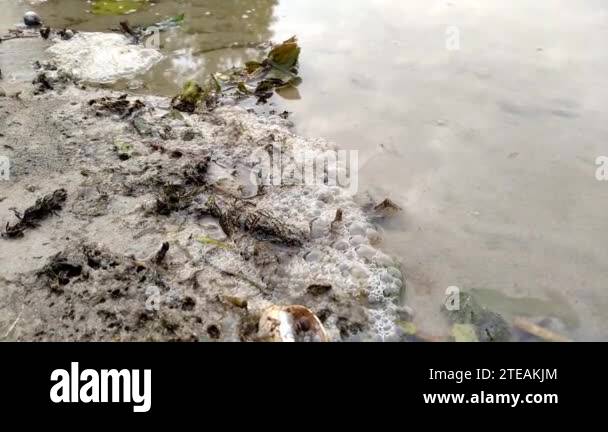 Environmental pollution texture Stock Videos & Footage - HD and 4K ...